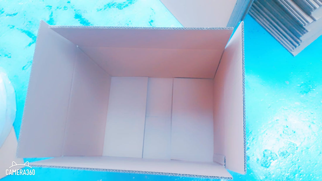 New Standard Carton Box : 50cm(L) x 38cm(W) x 38cm(H)| cartonbox.sg